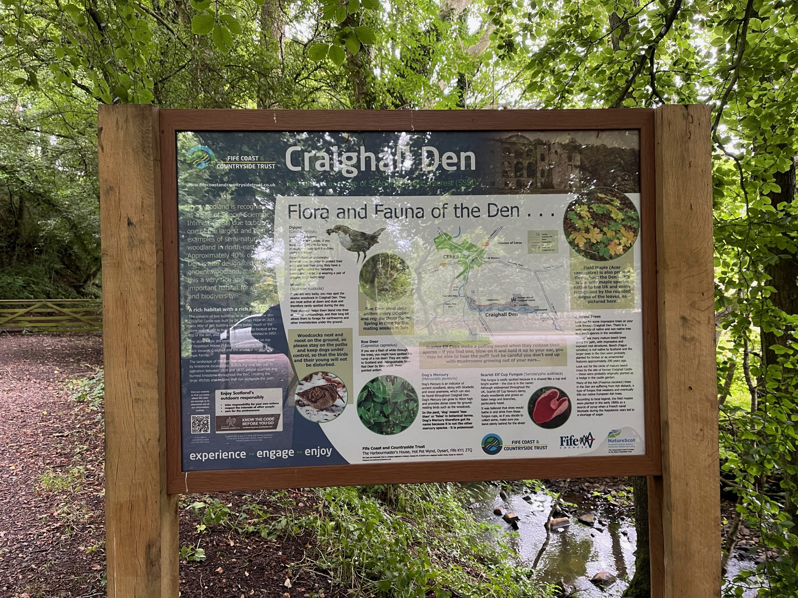 Craighall Den - Sandcastle Cottage, Crail, KY10 3TU