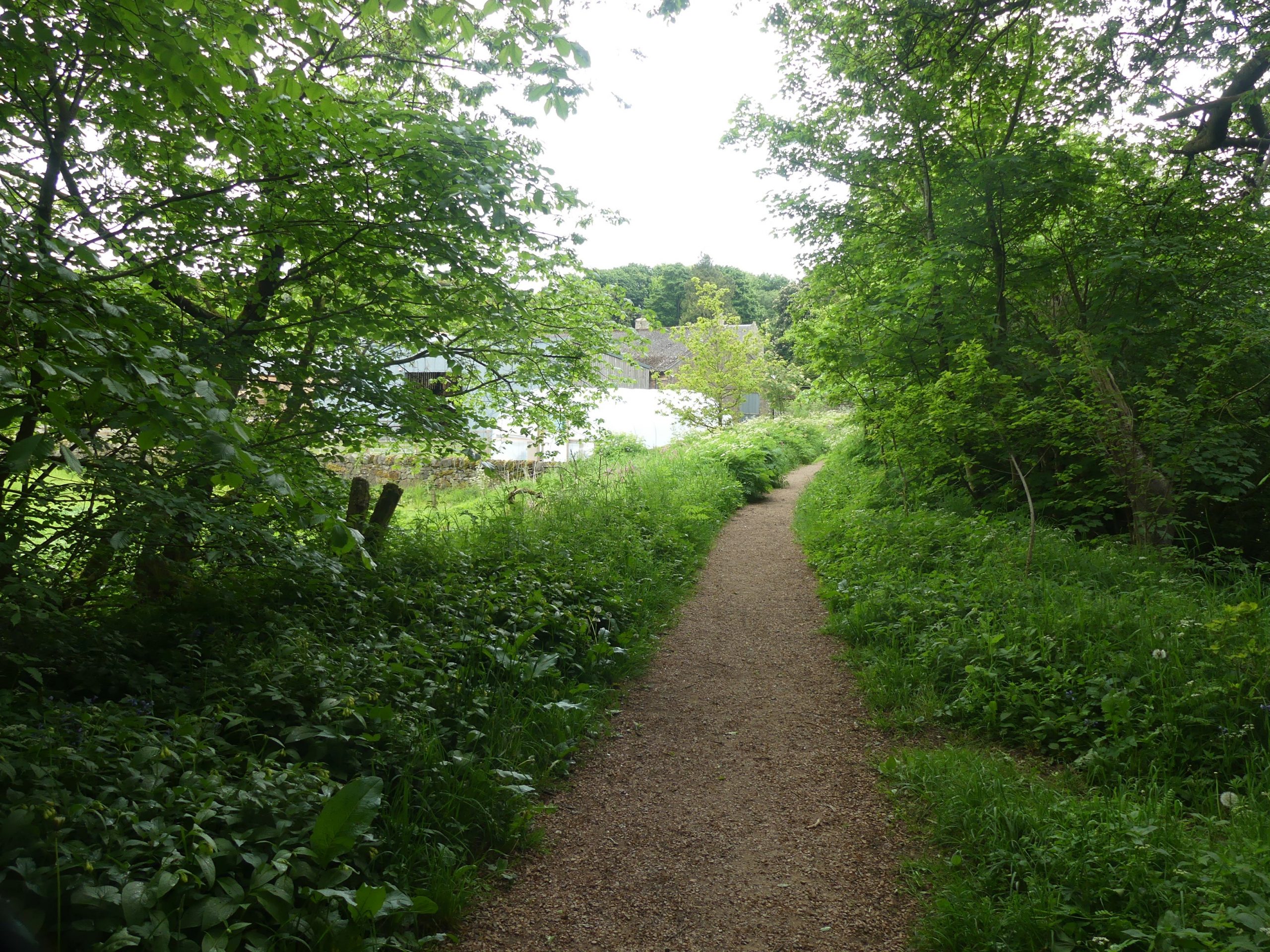 Craighall Den - Sandcastle Cottage, Crail, KY10 3TU