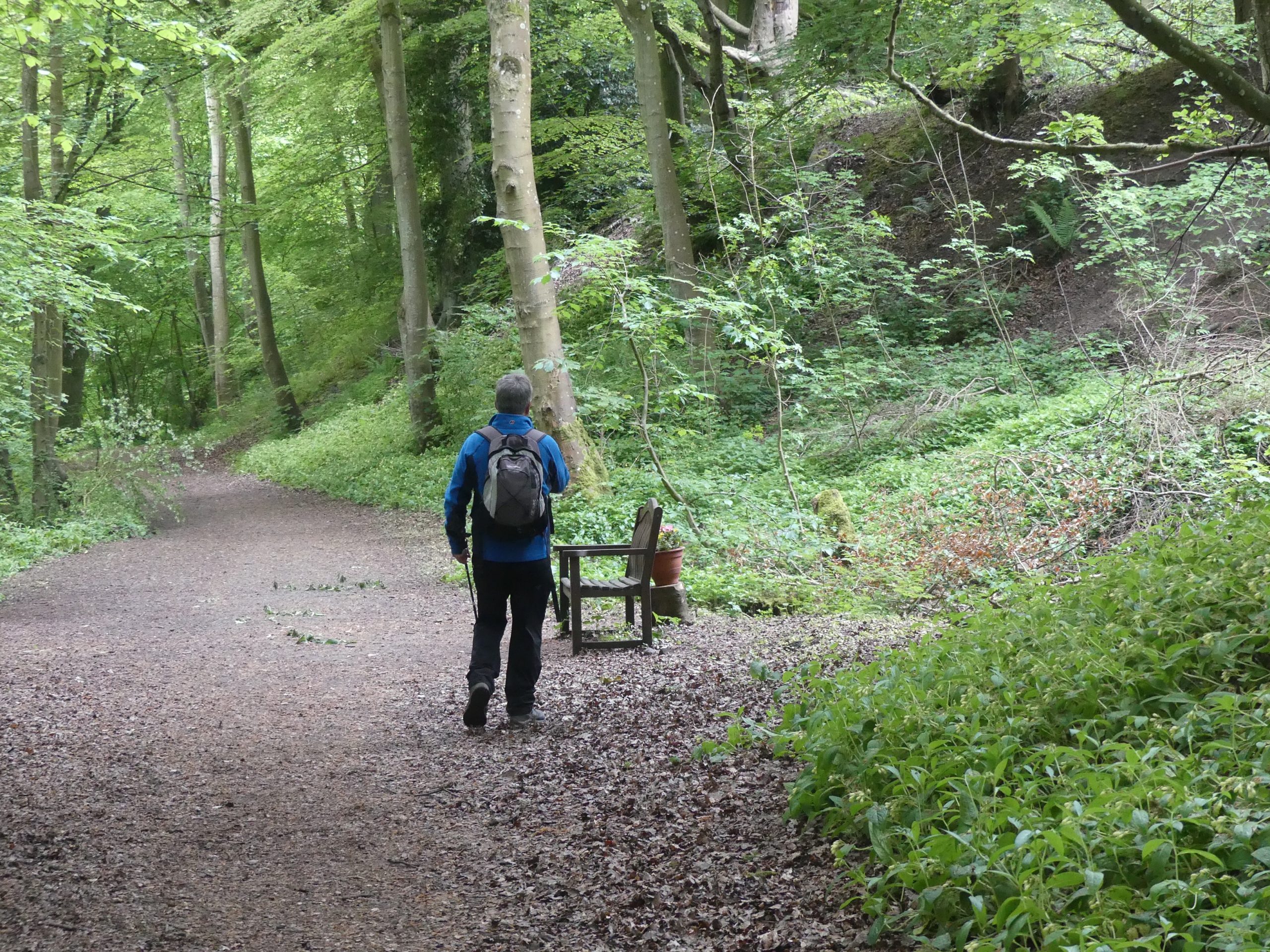 Craighall Den - Sandcastle Cottage, Crail, KY10 3TU