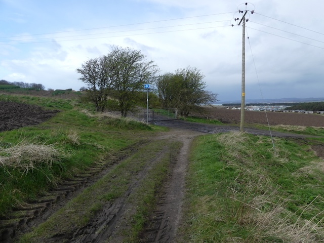 Elie and Kincraig Circular Walk - Sandcastle Cottage, Crail, KY10 3TU